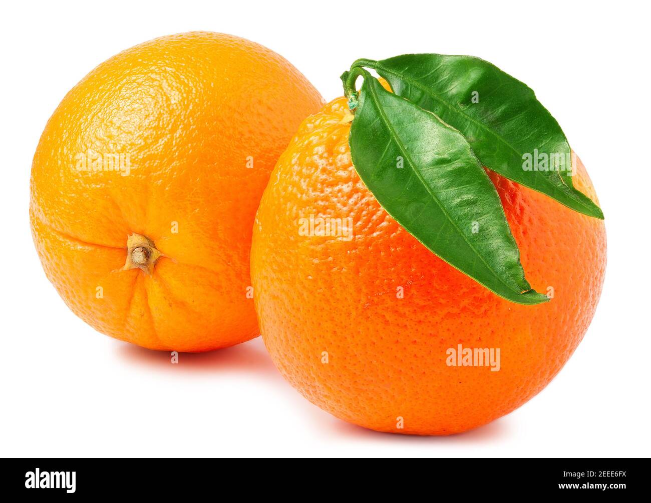 two oranges isolated on white background Stock Photo - Alamy