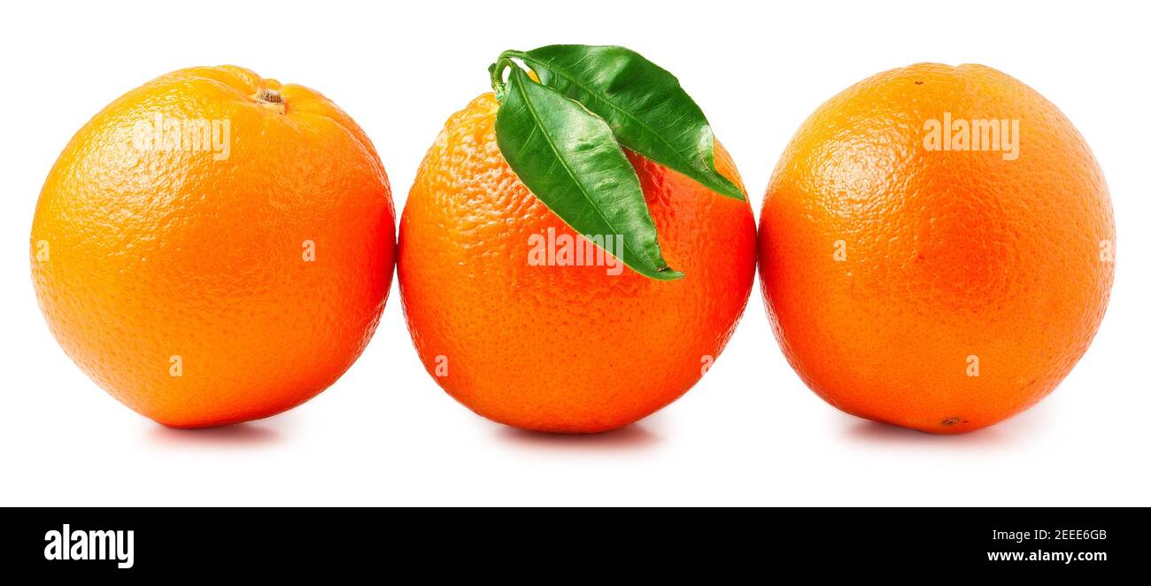 three oranges on a white background Stock Photo - Alamy