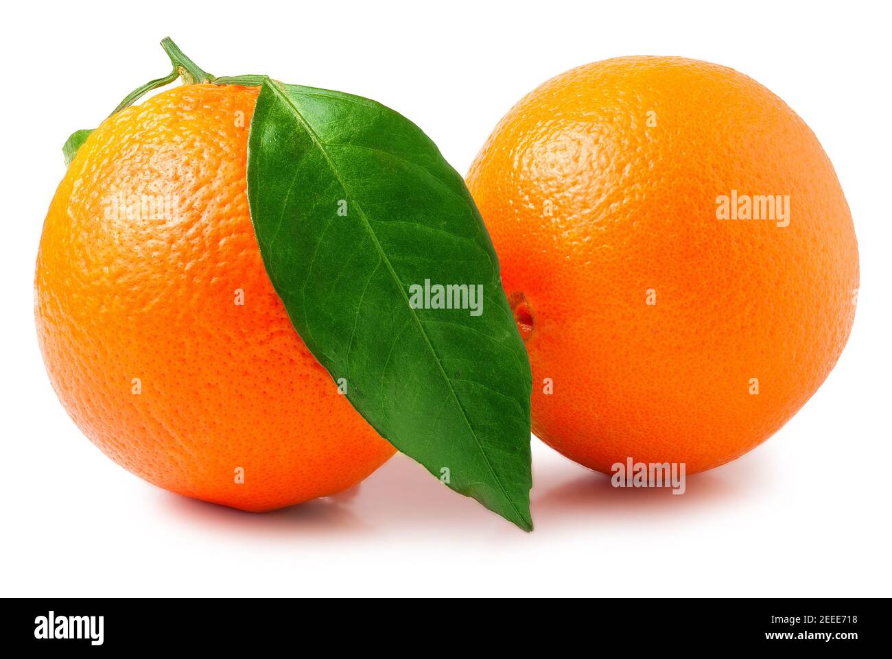 Two oranges cutout hi-res stock photography and images - Alamy