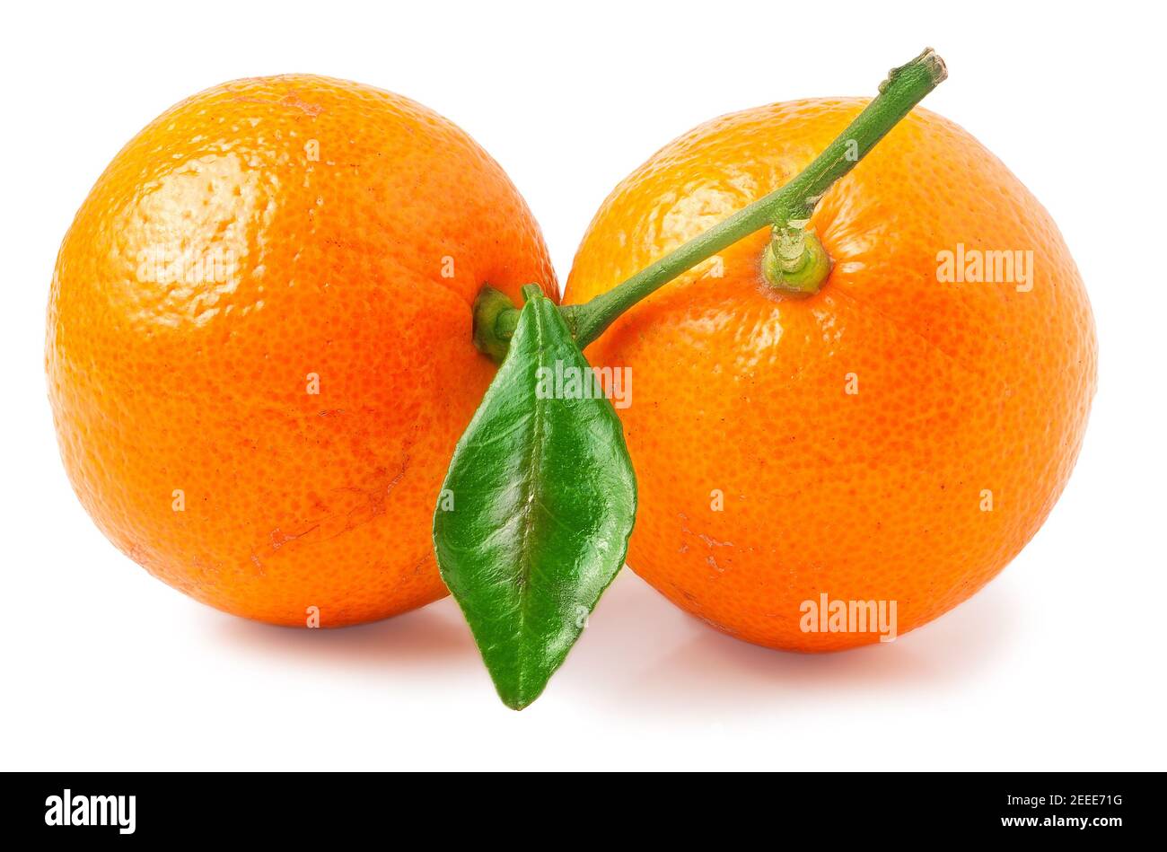 two tangerine with leaf on a white background Stock Photo - Alamy