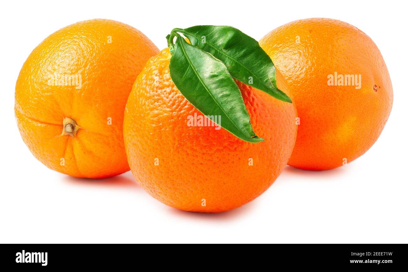 three oranges on a white background Stock Photo - Alamy