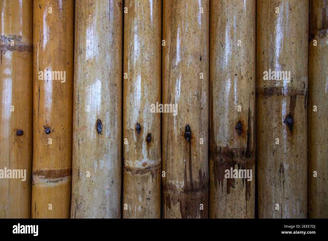 Bamboo Wall Construction