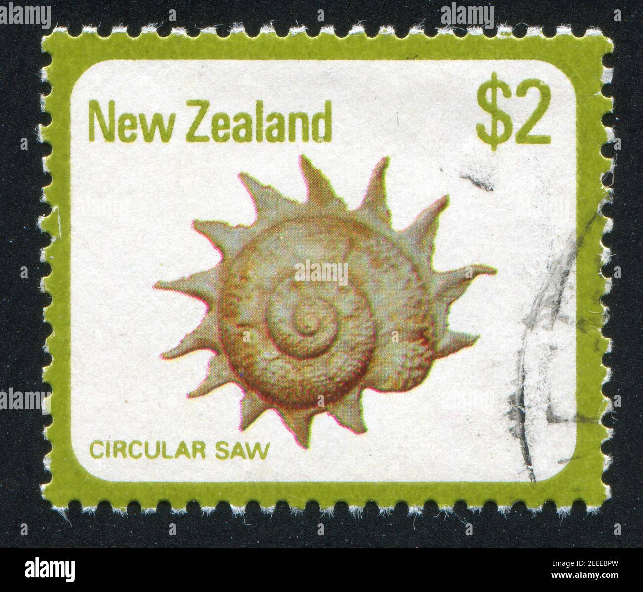 NEW ZEALAND - CIRCA 1979: stamp printed by New Zealand, shows sea shell ...
