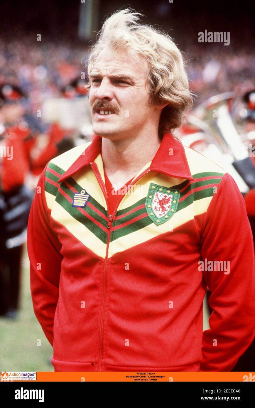 Terry yorath hi-res stock photography and images - Alamy
