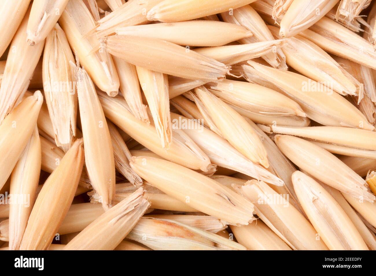 raw grains of oats close up as a background macro Stock Photo - Alamy