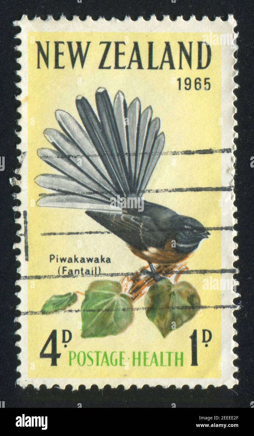 NEW ZEALAND — CIRCA 1965: stamp printed by New Zealand, shows fantail ...