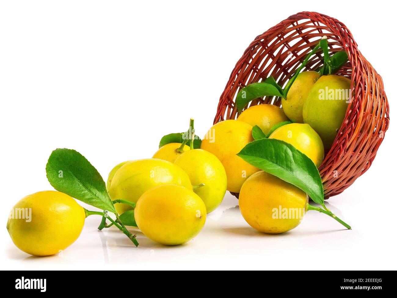 Lemons in basket hi-res stock photography and images - Alamy