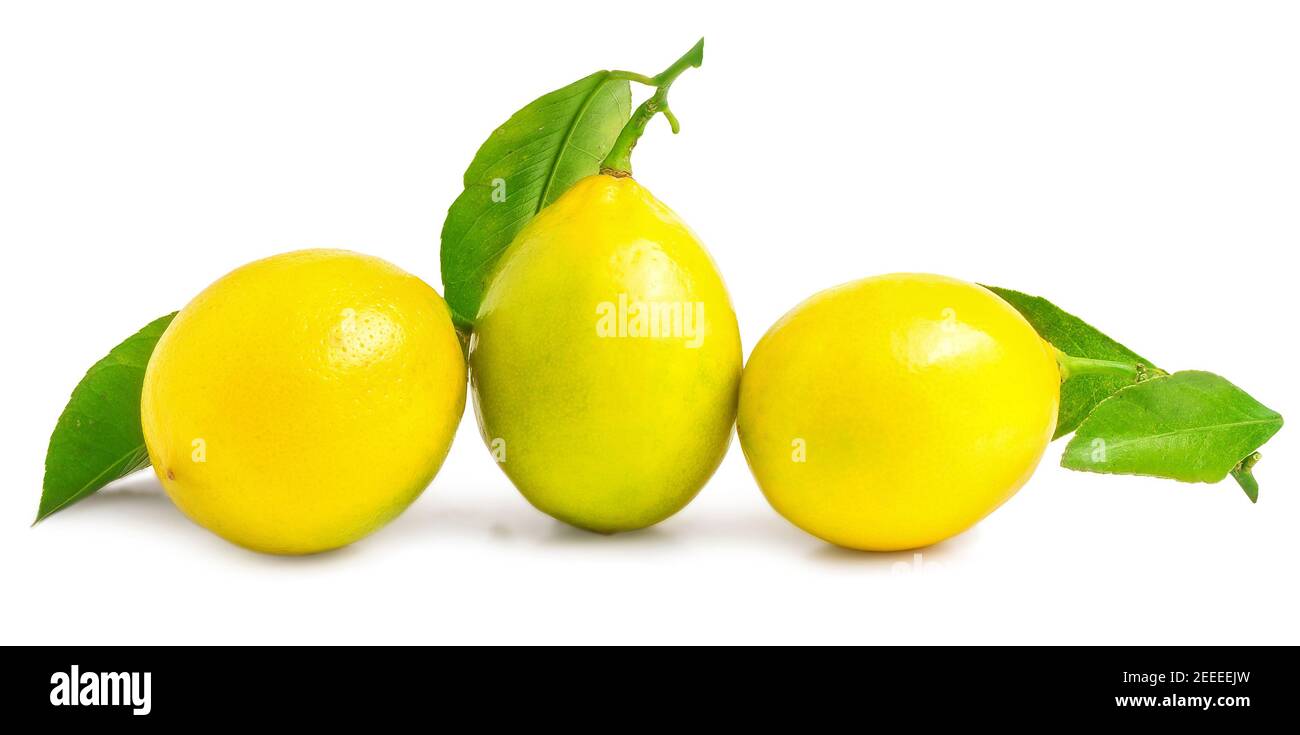 Three lemons on a white background Stock Photo - Alamy
