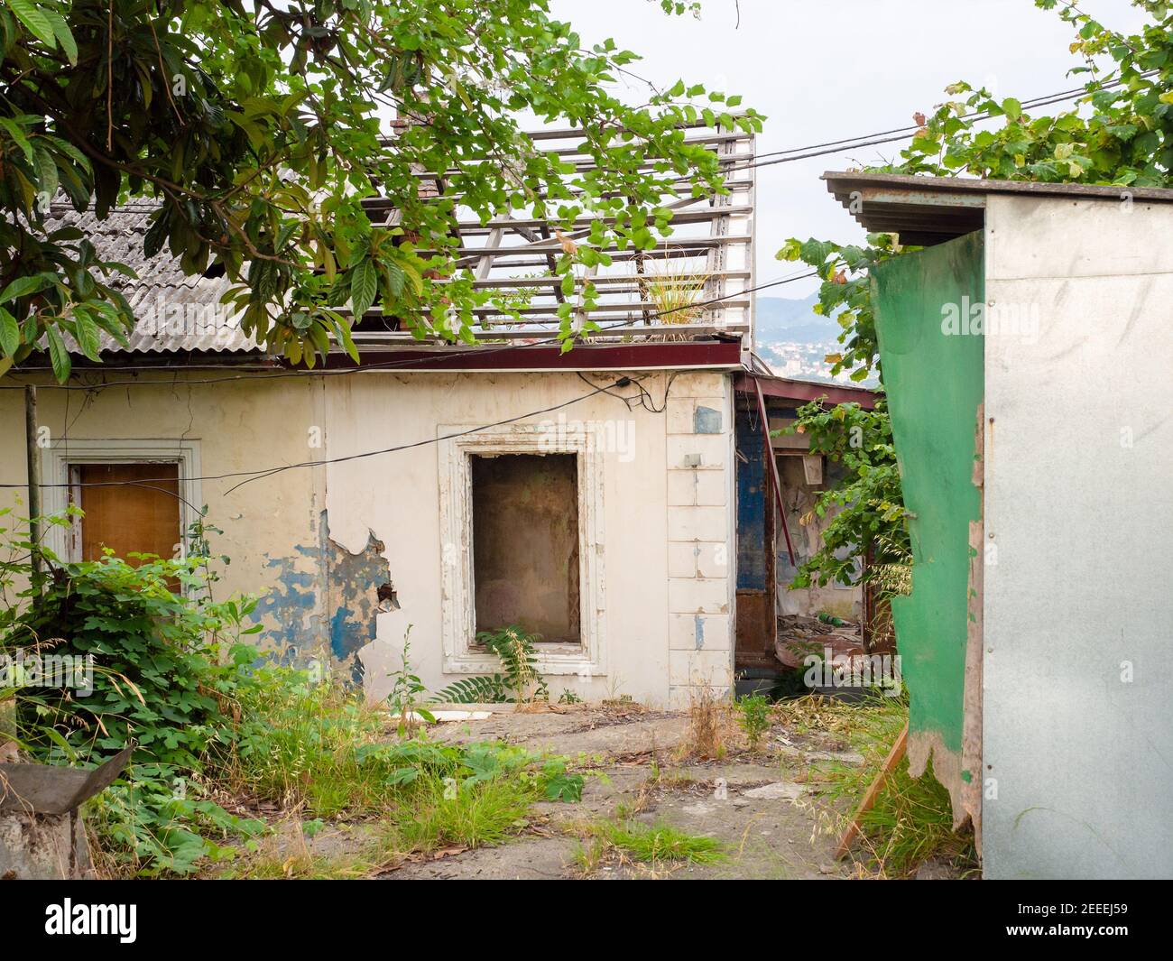 An old abandoned one-story house with destroyed roof and broken windows and grass growing ...