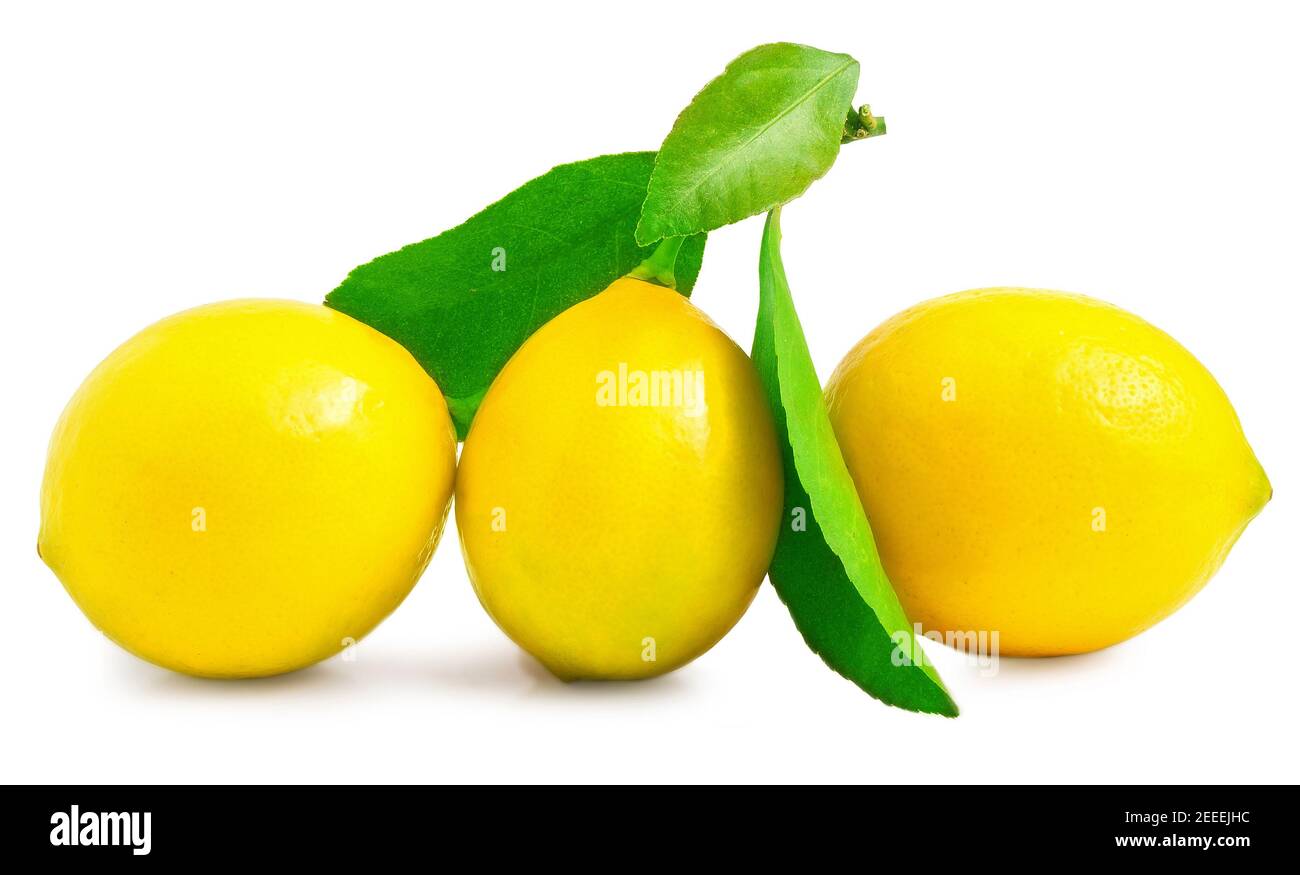 Three large, juicy, beautiful lemon on a white background Stock Photo ...