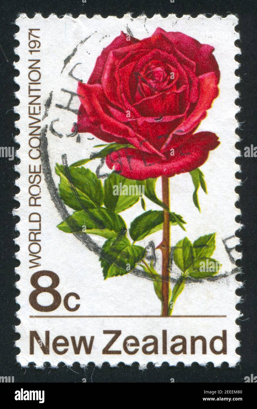 NEW ZEALAND - CIRCA 1971: stamp printed by New Zealand, shows flower ...
