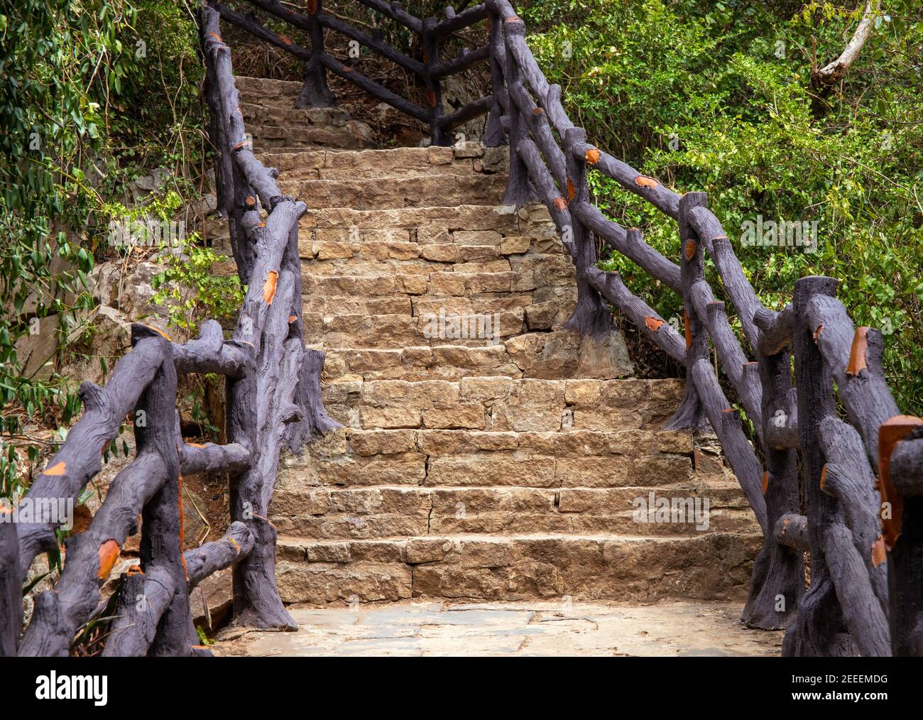 Stairs step and bush hi-res stock photography and images - Alamy