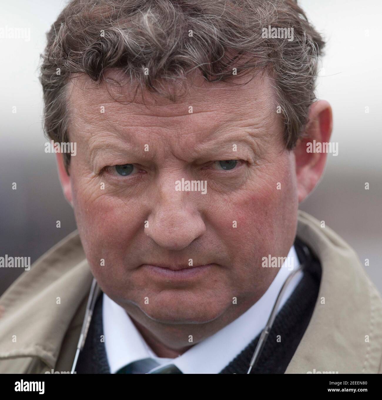 Mark johnston horse hi-res stock photography and images - Alamy