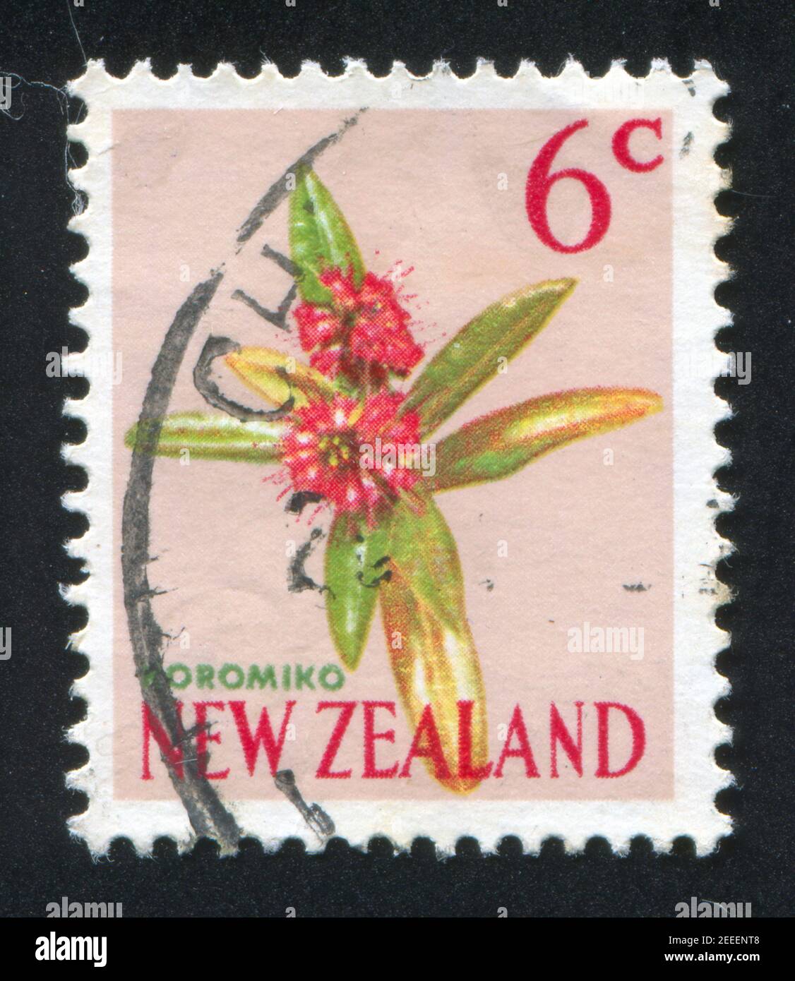 NEW ZEALAND - CIRCA 1960: stamp printed by New Zealand, shows Koromiko ...