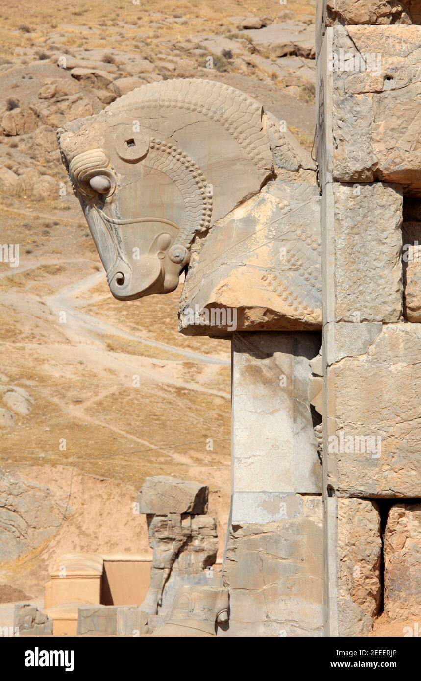 Ancient persia horse hi-res stock photography and images - Alamy
