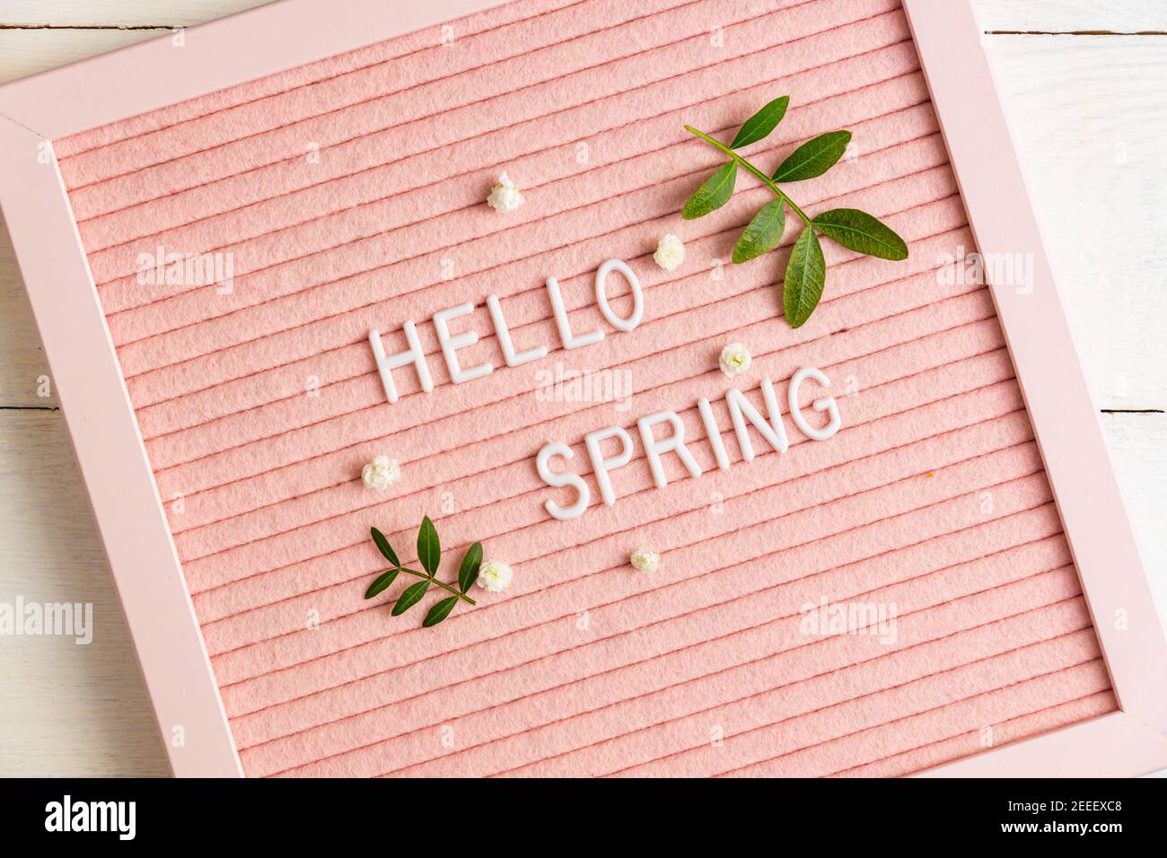 Text Hello Spring on the pink letter board with green branches and ...