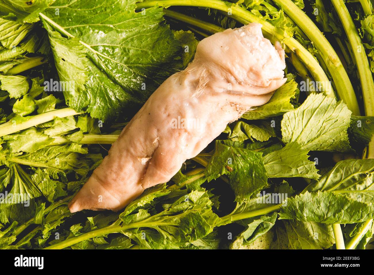 Salted turnip hi-res stock photography and images - Alamy