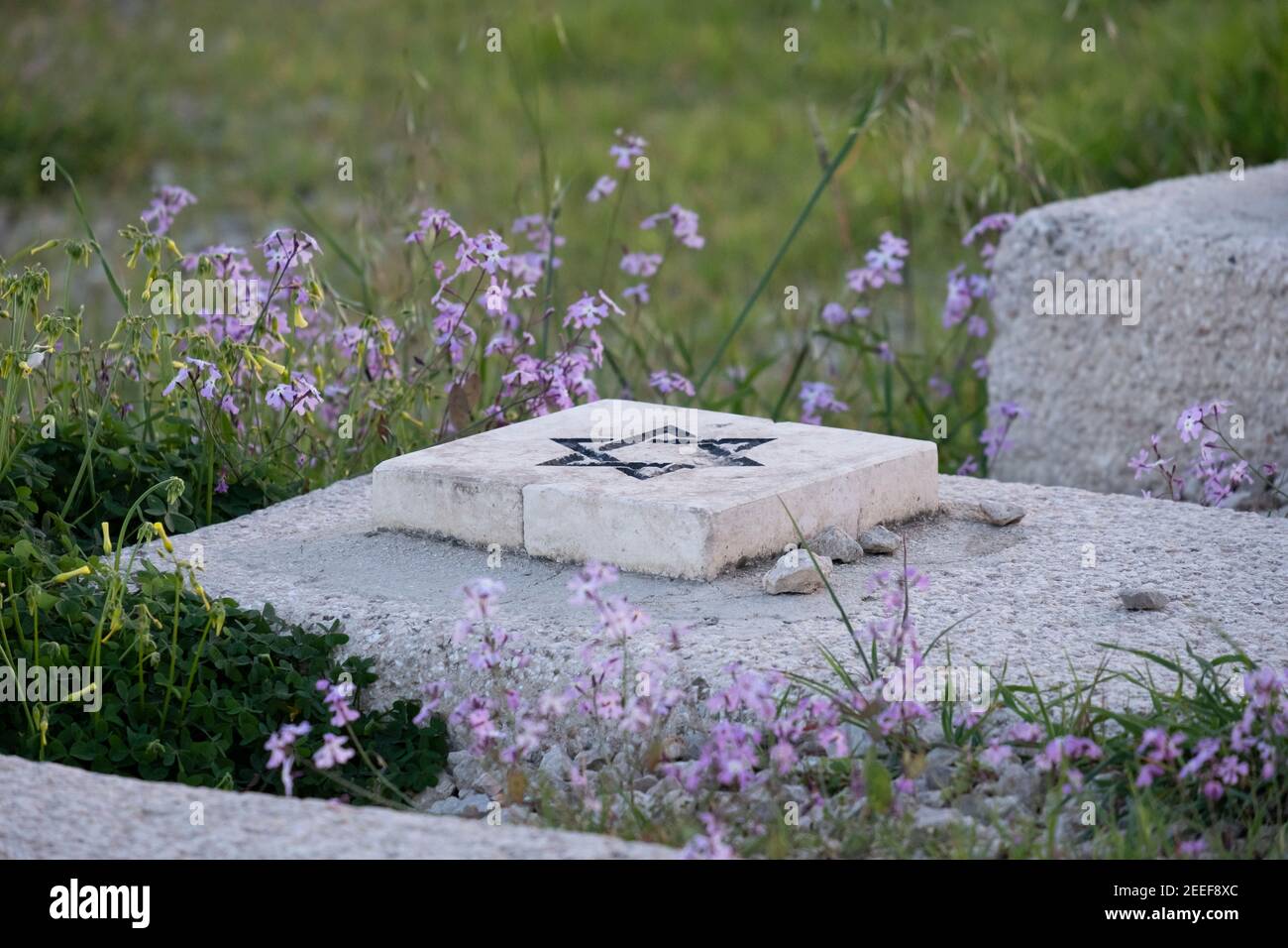 The star of David carved in tombstone of an old Jewish tomb on the ...
