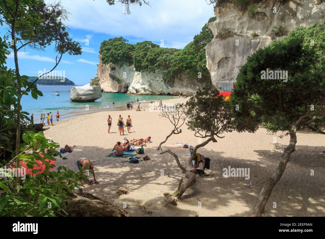 Mare's Leg Cove, a beach in the Cathedral Cove marine reserve, New ...