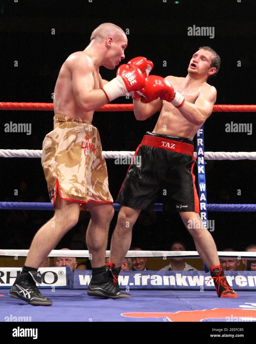 Taz jones hi-res stock photography and images - Alamy