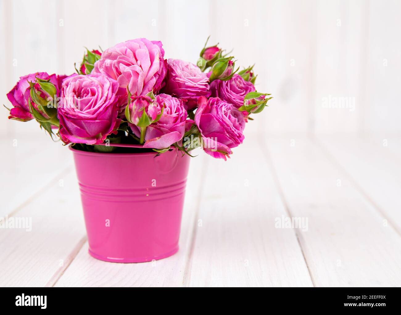 Pink roses(peony) in vase on white wooden background. flowers and Stock ...