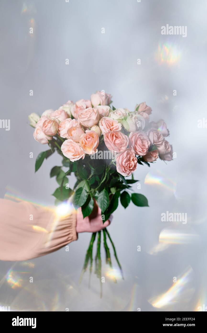Woman hand in pink blouse holds a beautiful bouquet of pink rose ...