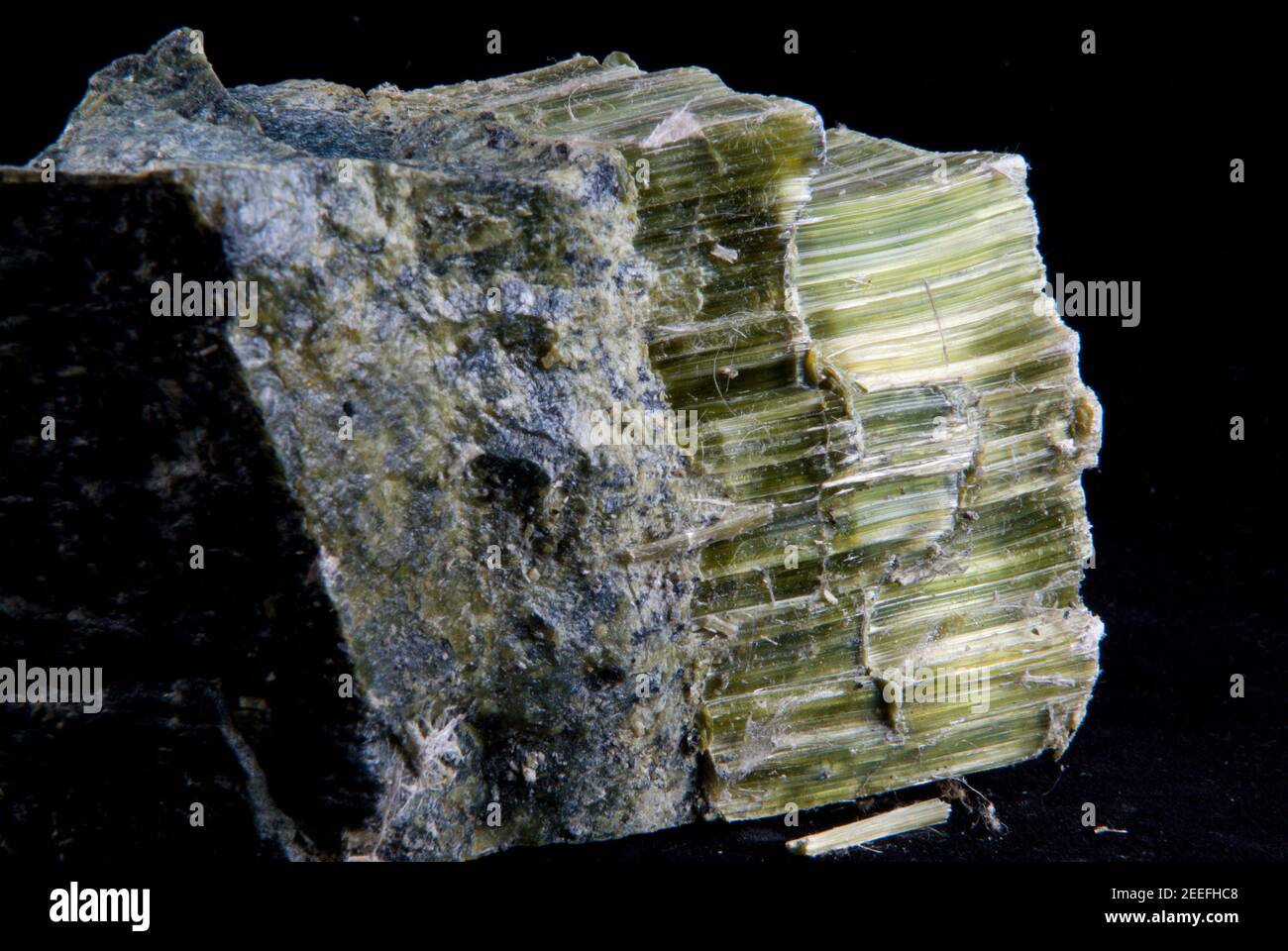 asbestos fibers mineral sample Stock Photo - Alamy