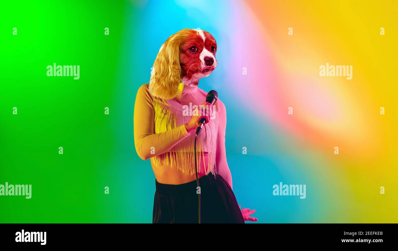 Inspired singer. Talented dog, professional musician performing on ...