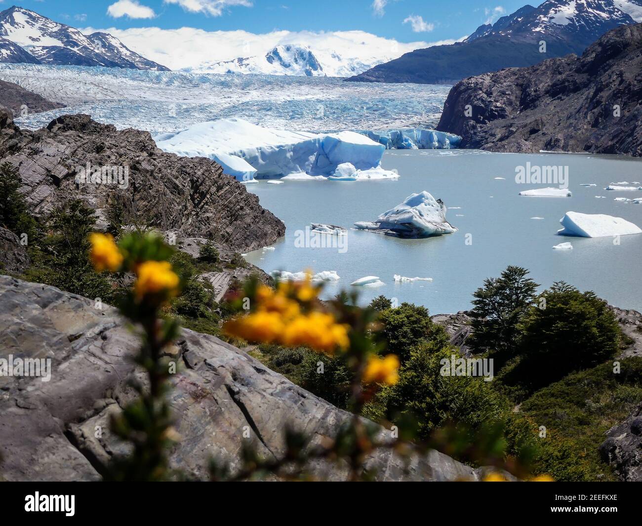 Panorama of Grey Glacier in Torres Del Paine National Park in Patagonia ...