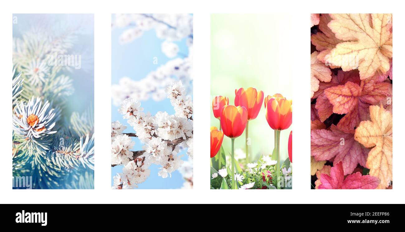 Four seasons of year. Set of vertical nature banners with winter ...