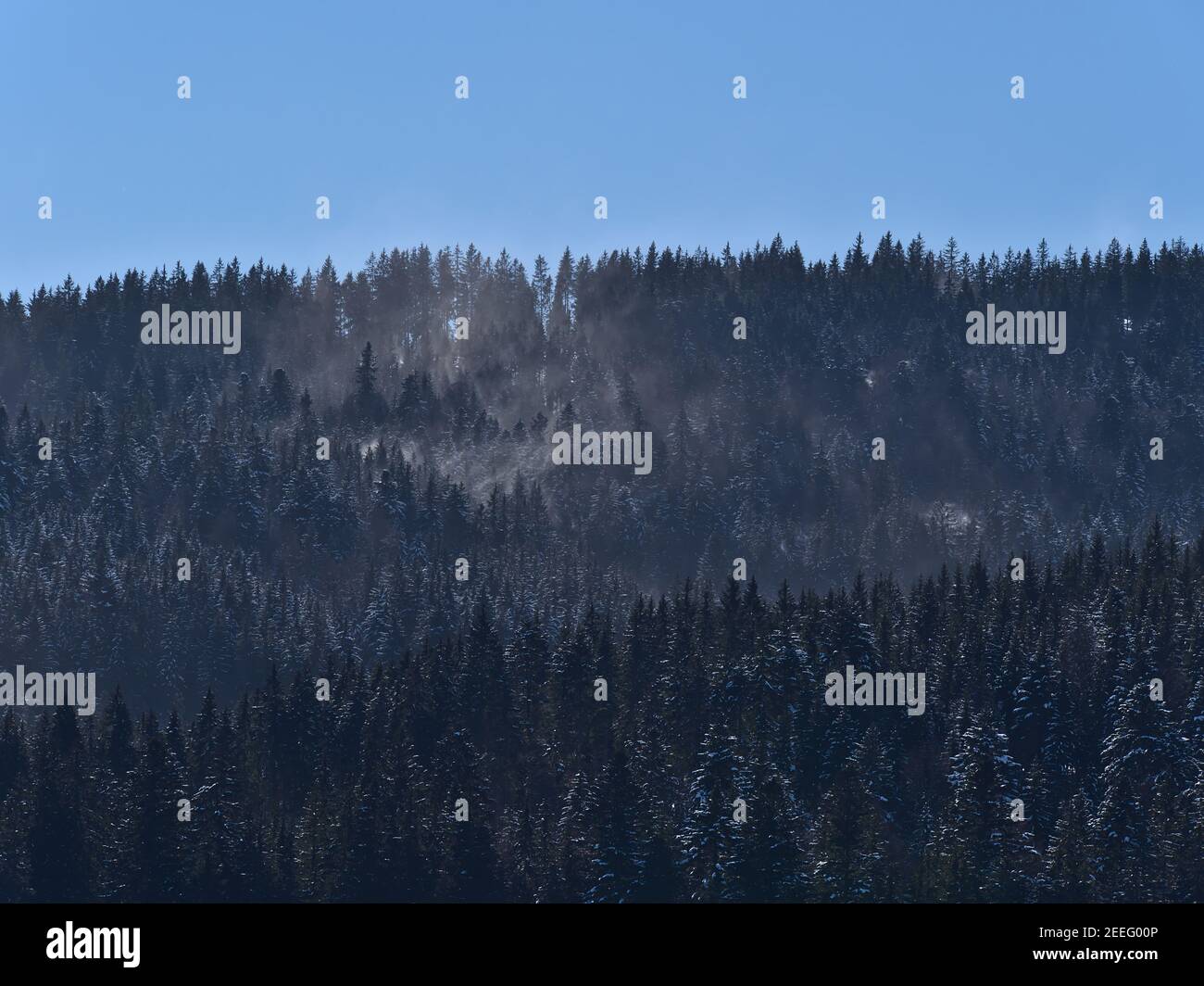 Strong wind trees hi-res stock photography and images - Alamy