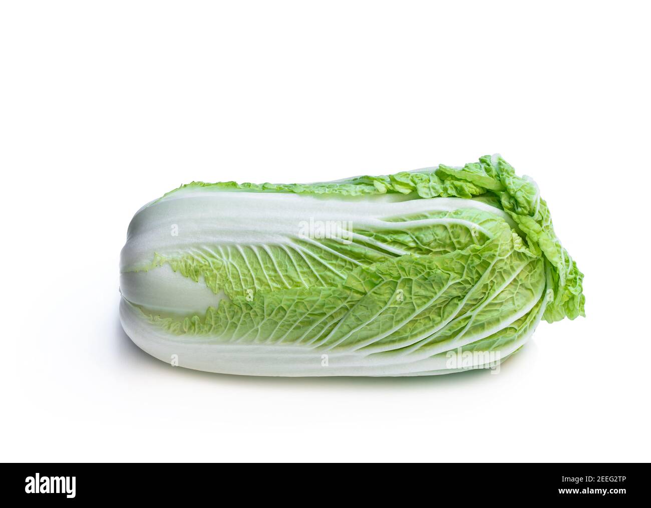 Fresh whole chinese cabbage isolated on white Stock Photo - Alamy