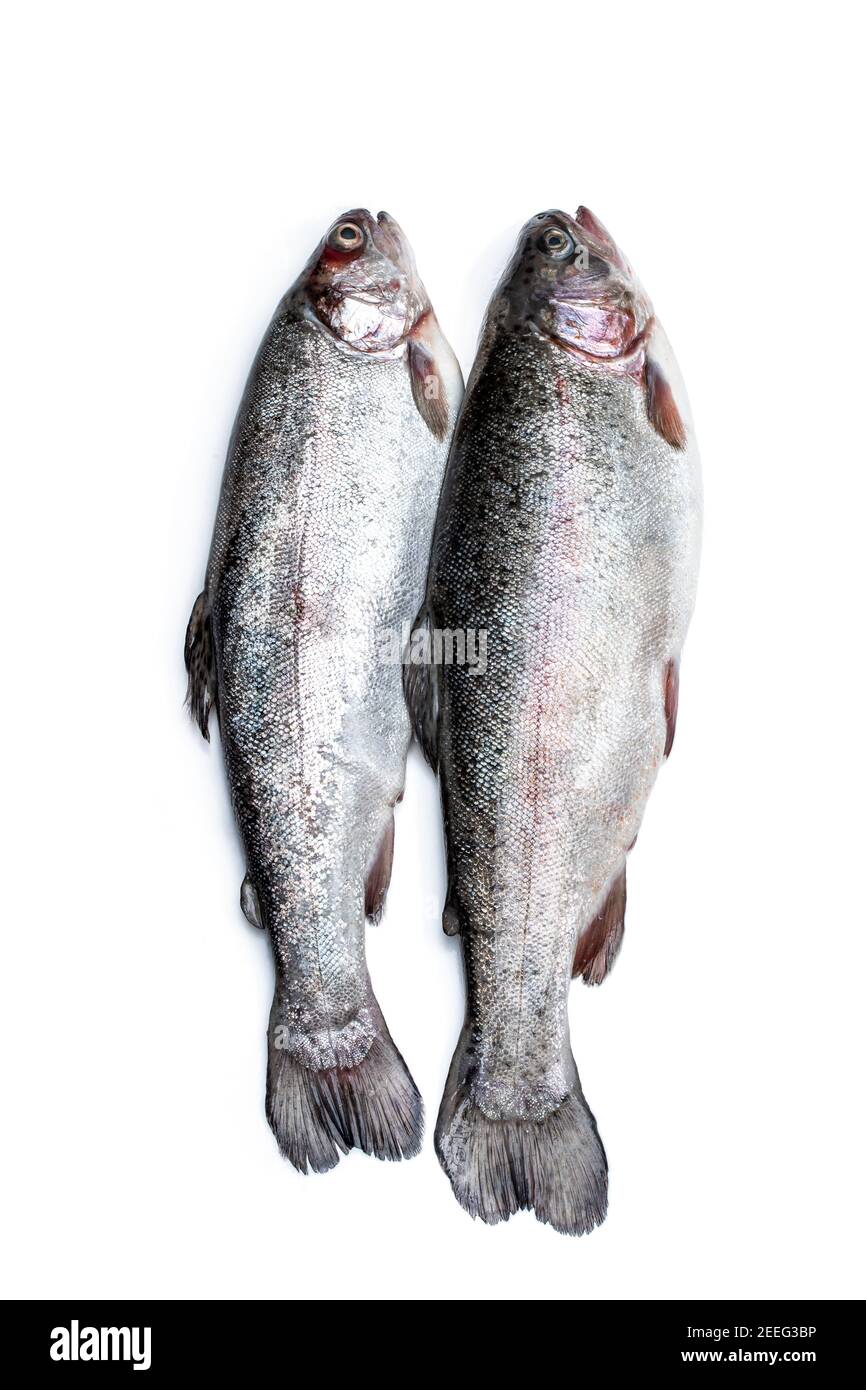 Fresh trout on table Cut Out Stock Images & Pictures - Alamy