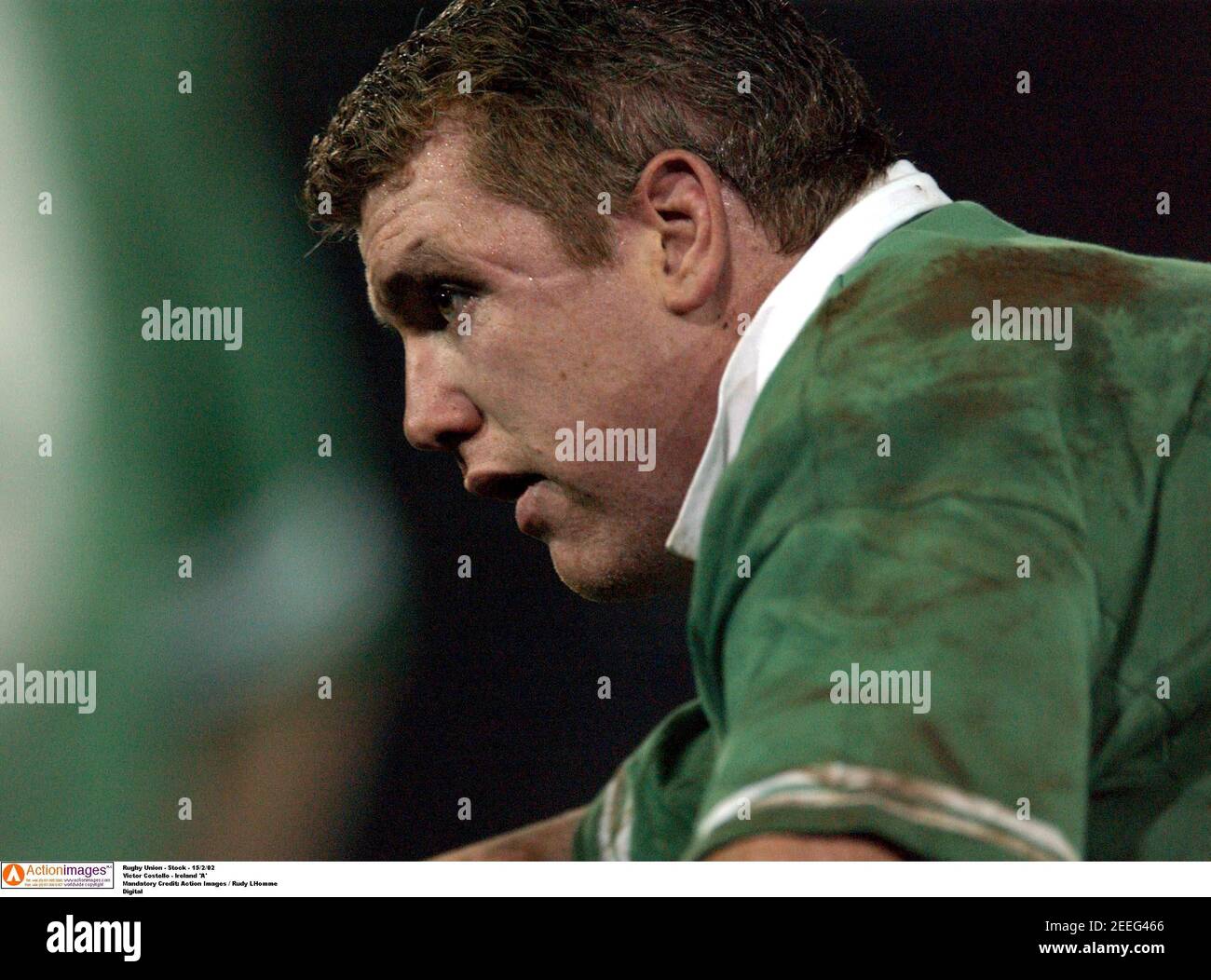 Sport rugby union victor costello hi-res stock photography and images ...