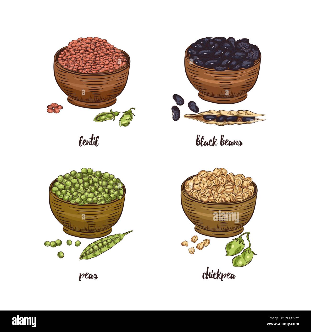 Red lentils, black beans, peas and chickpea isolated on white ...