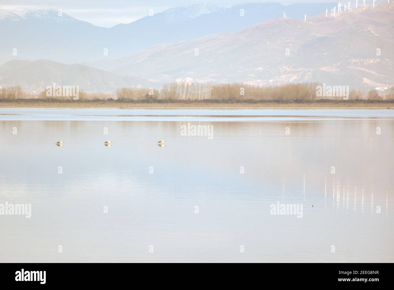 Lake surrounded hills seagulls flying hi-res stock photography and ...