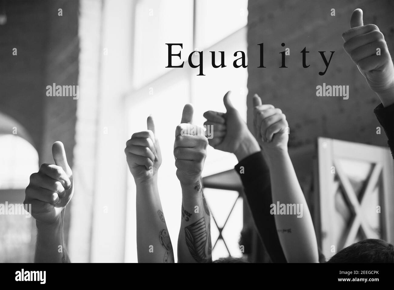 Equality. African and caucasian hands gesturing on gray studio ...