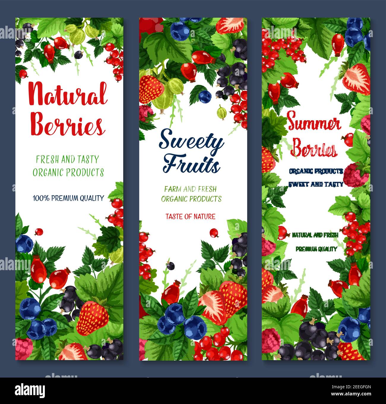 Black mulberry fruit Stock Vector Images - Alamy