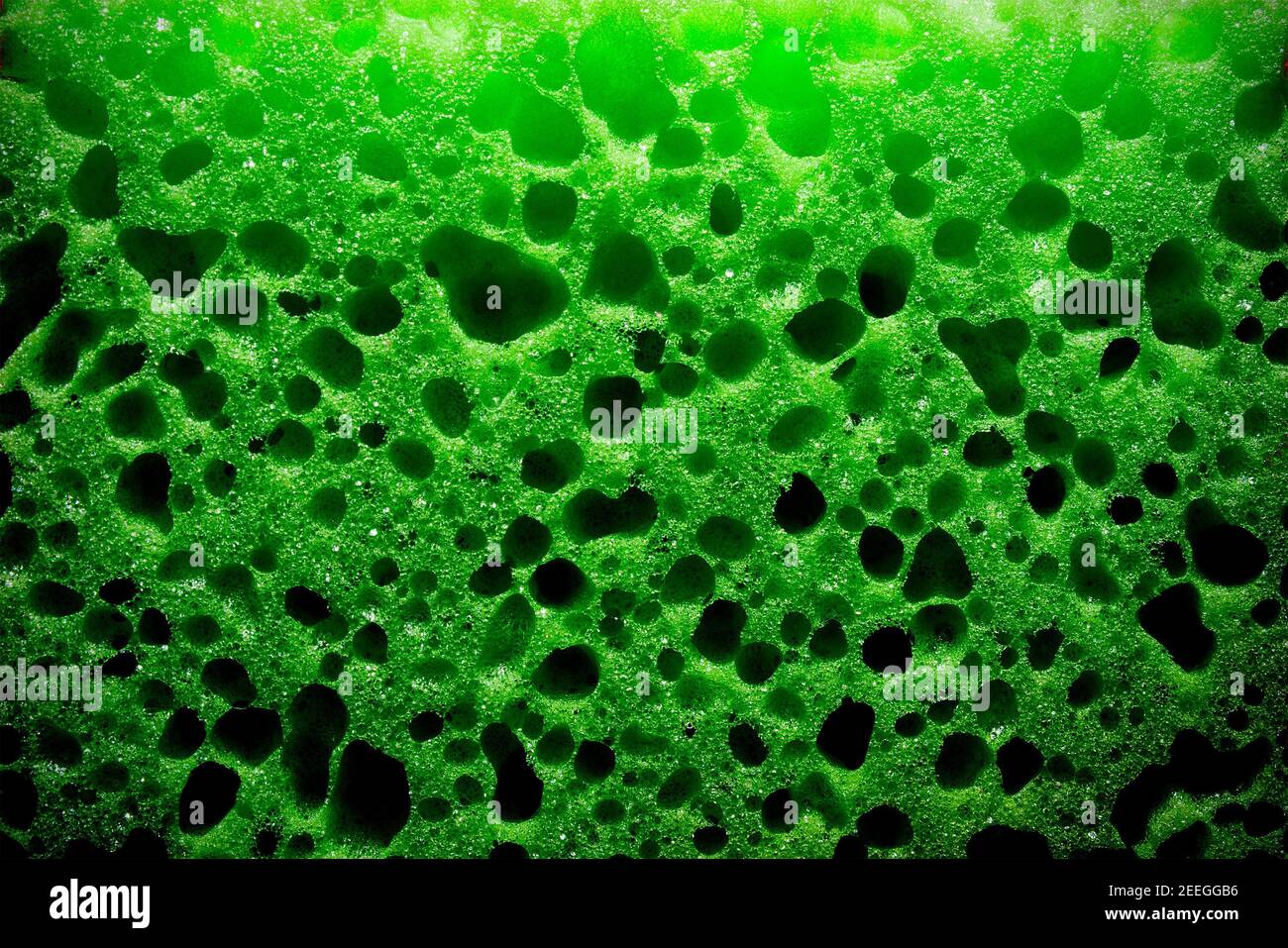 Seamless porous sponge texture hi-res stock photography and images - Alamy