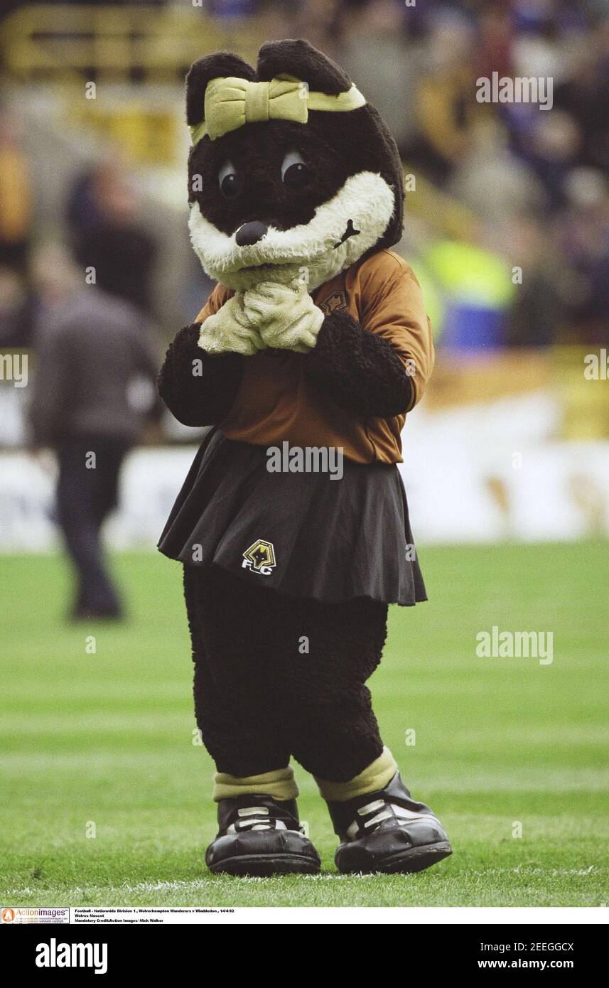 Wolverhampton Wanderers Mascot High Resolution Stock Photography and ...
