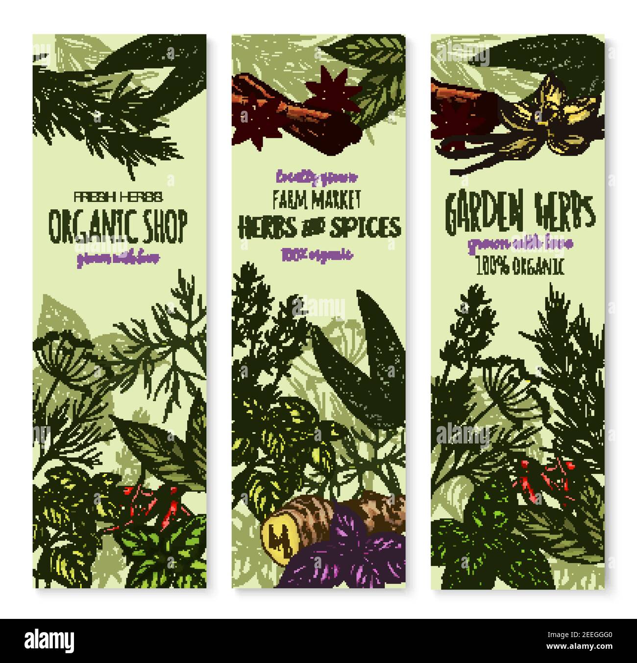 Herbs and spices banners for shop or seasonings market. Vector organic ...