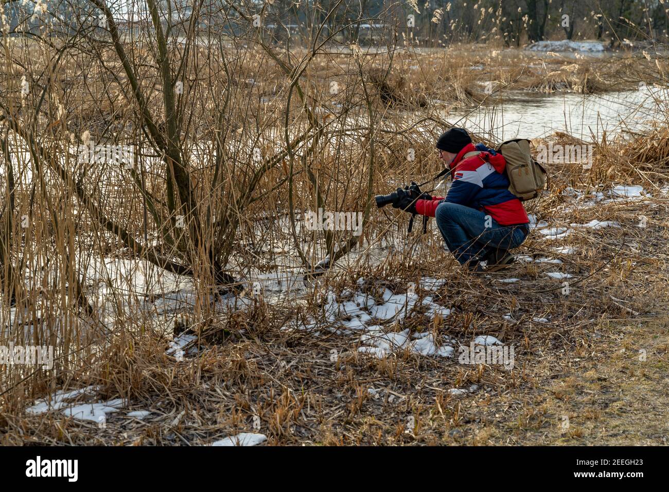 Holes in trees hi-res stock photography and images - Alamy