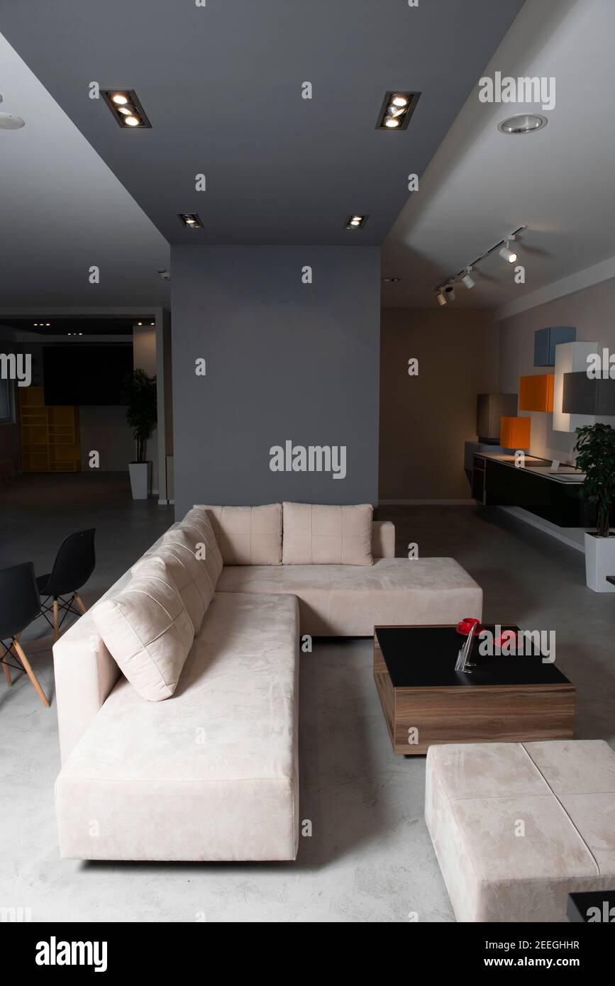 Expensive living room, with a table and a sofa Stock Photo - Alamy