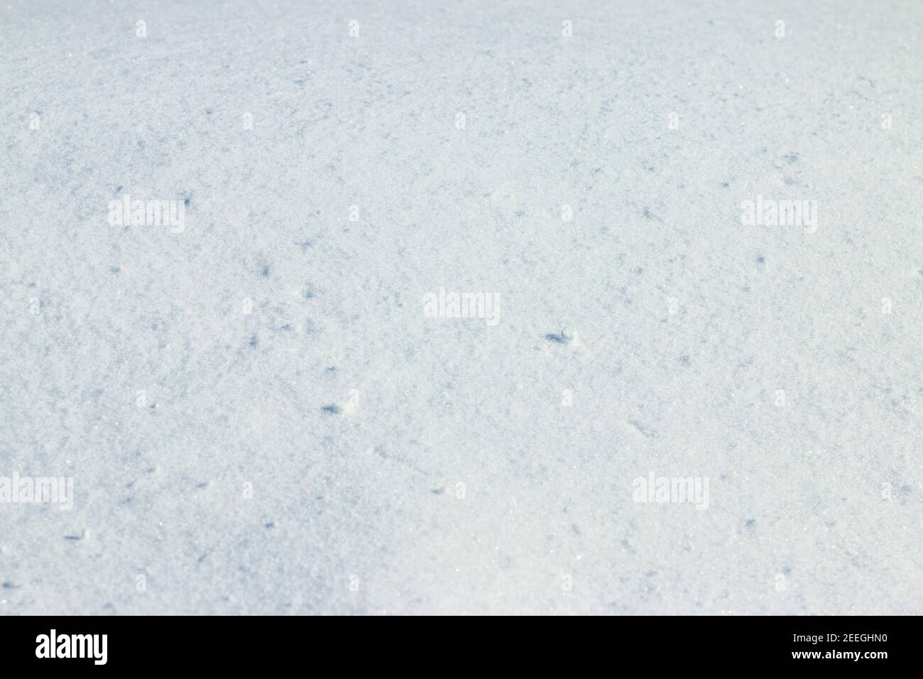 Smooth winter snow cover texture backdrop. Fresh snowdrift background ...