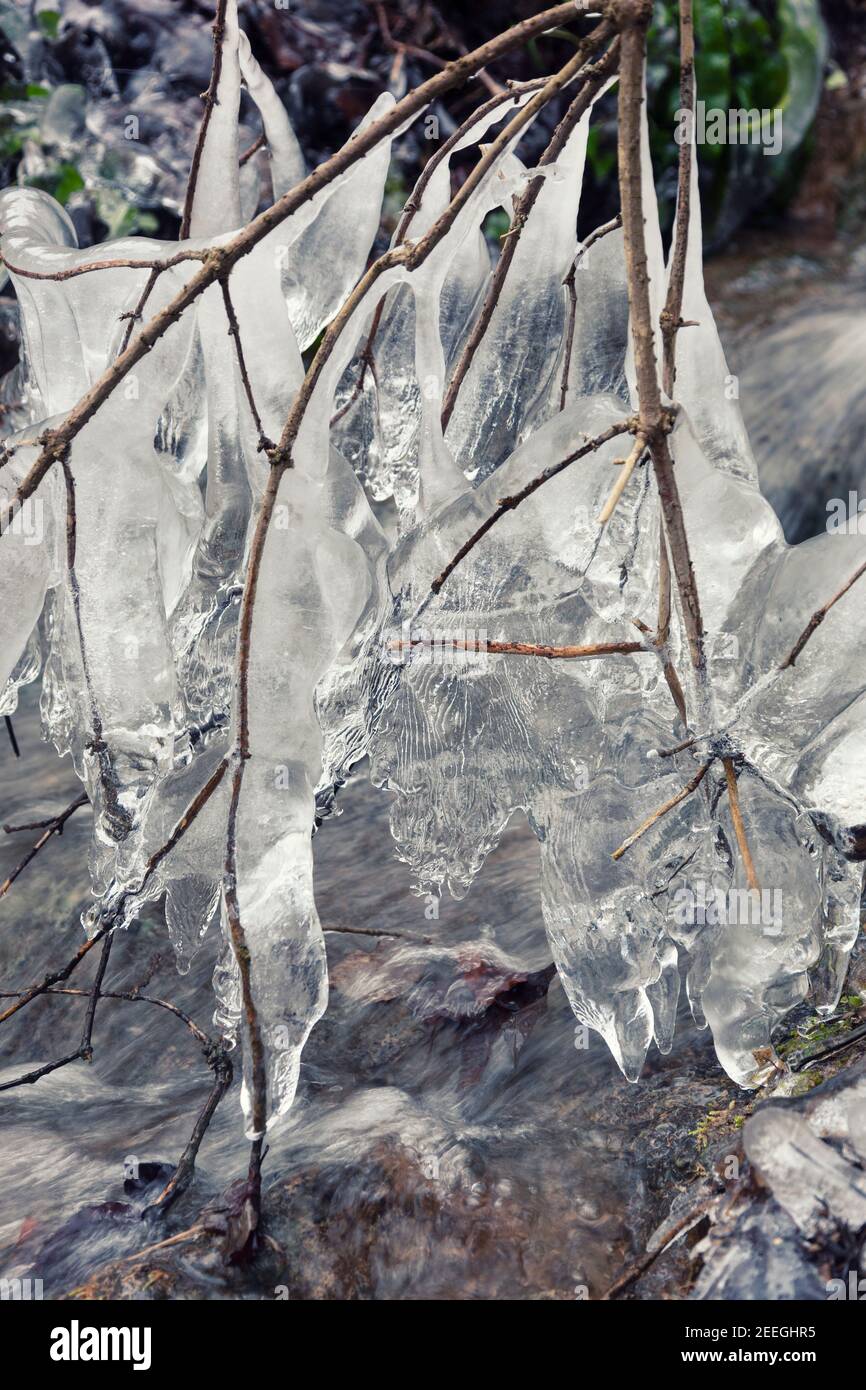 Iced twigs hi-res stock photography and images - Alamy