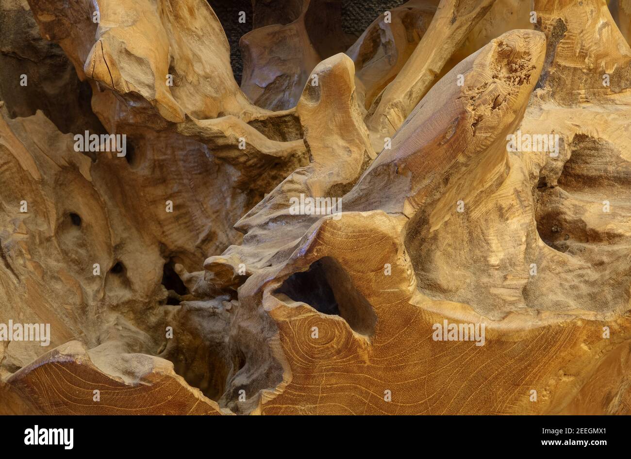 Tree root texture hi-res stock photography and images - Alamy