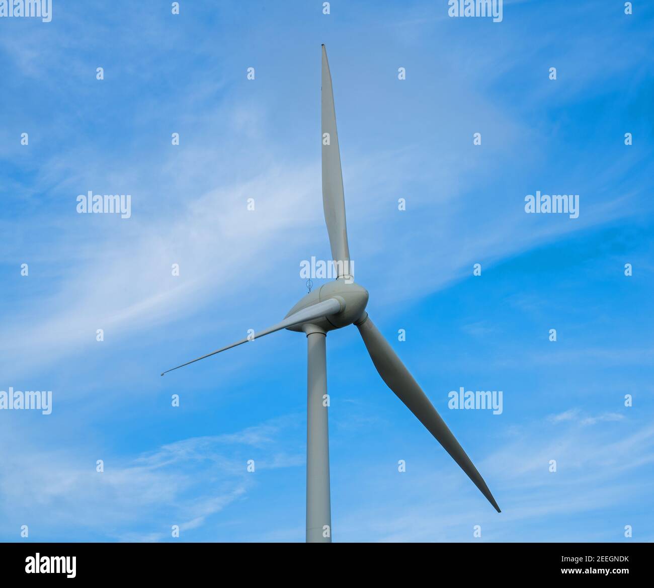 Wings modern hi-res stock photography and images - Alamy