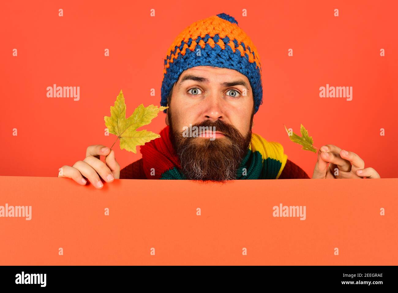 Hipster with beard and sad face looks disappointed. Man in hat holds ...