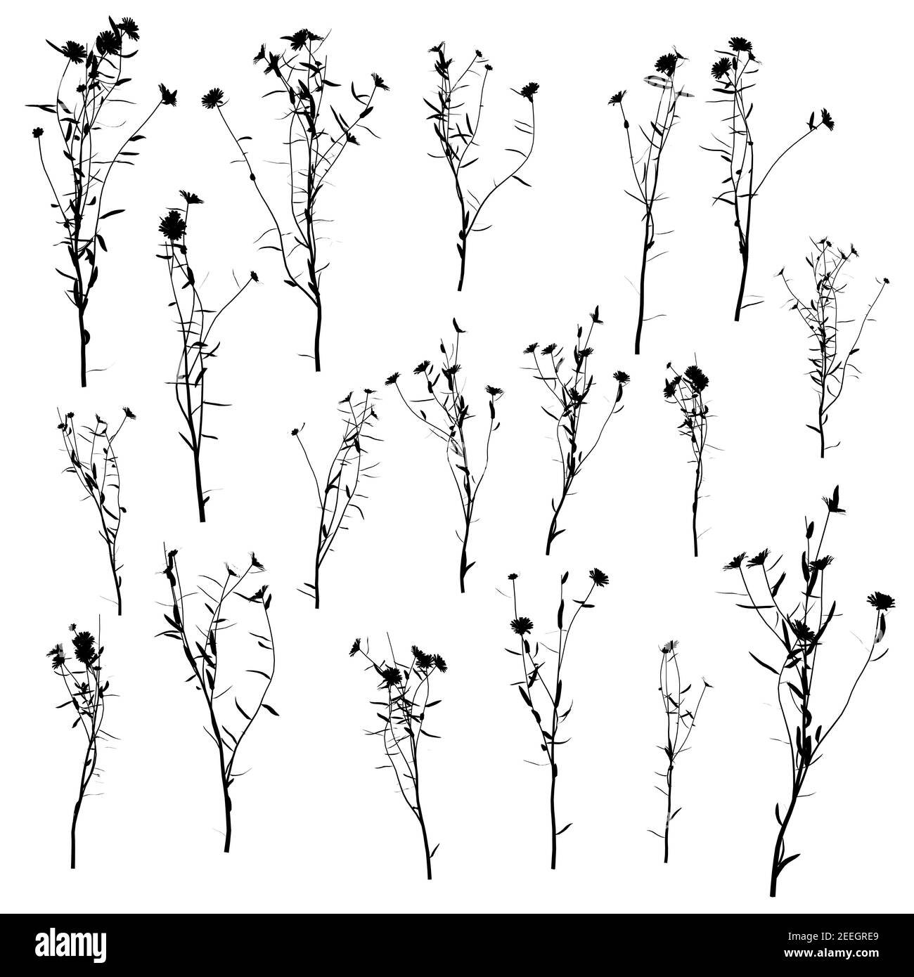 Set with silhouettes of detailed plants isolated on white background ...