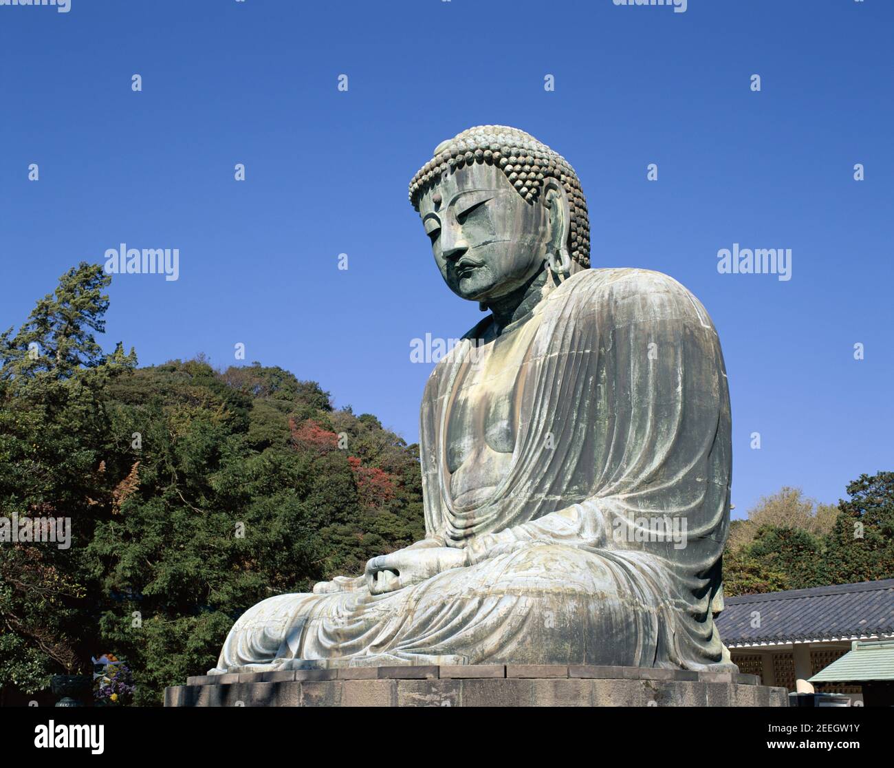Japan, Honshu, Tokyo, Kamakura, Great Buddha aka Daibutsu Statue Stock ...